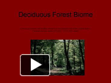 Deciduous Forest Biome presentation | free to view