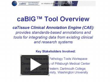 PPT – caBIG PowerPoint presentation | free to view - id: 143c9d-MTg5M