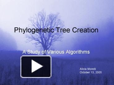 PPT – Phylogenetic Tree Creation PowerPoint presentation | free to view ...