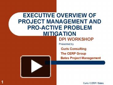 PPT – EXECUTIVE OVERVIEW OF PROJECT MANAGEMENT AND PROACTIVE PROBLEM ...