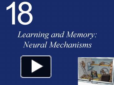 Learning and Memory: Neural Mechanisms presentation | free to view