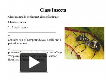 Class Insecta presentation | free to view
