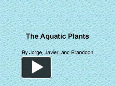 The Aquatic Plants presentation | free to view