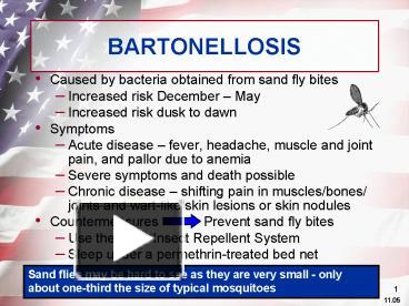 PPT – BARTONELLOSIS PowerPoint presentation | free to view - id: 147d80 ...