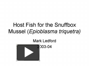 Host Fish for the Snuffbox Mussel Epioblasma triquetra presentation ...