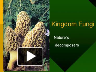 PPT – Kingdom Fungi PowerPoint presentation | free to view - id: 148dca ...