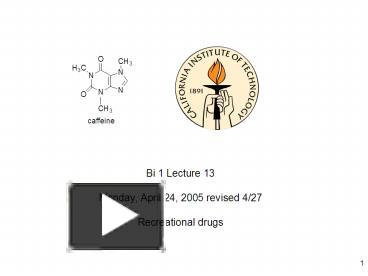 PPT – Bi 1 Lecture 13 PowerPoint presentation | free to download - id ...