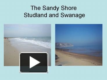 The Sandy Shore Studland and Swanage presentation | free to view