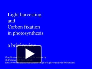 PPT – Light harvesting PowerPoint presentation | free to view - id ...
