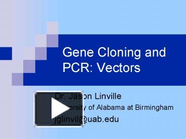 Gene Cloning and PCR: Vectors presentation | free to view