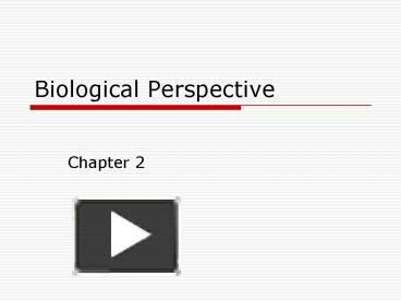 PPT – Biological Perspective PowerPoint presentation | free to view ...