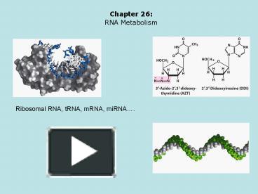 PPT – RNA Metabolism PowerPoint presentation | free to view - id ...