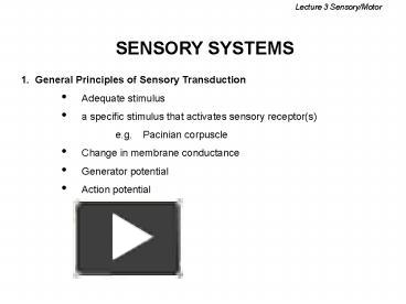 SENSORY SYSTEMS presentation | free to view
