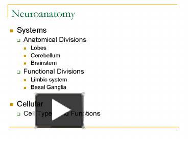 PPT – Neuroanatomy PowerPoint presentation | free to view - id: 14e5b7 ...