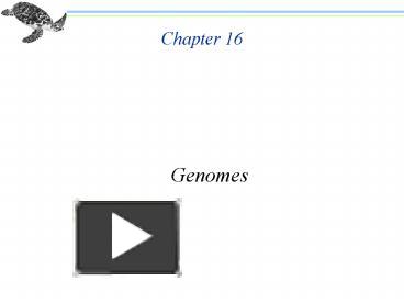 PPT – Genomes PowerPoint presentation | free to view - id: 14eb22-NDU4M