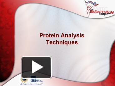 Protein Analysis Techniques presentation | free to view