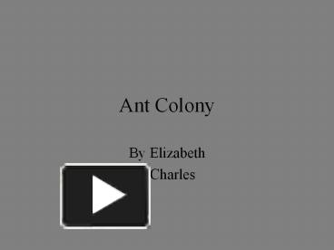 PPT – Ant Colony PowerPoint presentation | free to download - id ...