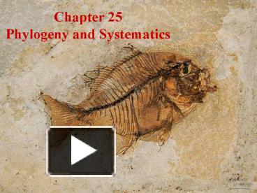 PPT – Phylogeny and Systematics PowerPoint presentation | free to view ...