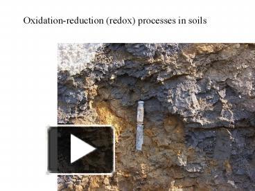 Oxidationreduction redox processes in soils presentation | free to view
