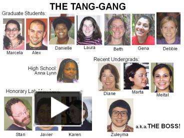 PPT – THE TANG-GANG PowerPoint presentation | free to view - id: 1520d9 ...