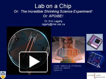 Lab on a Chip presentation | free to download