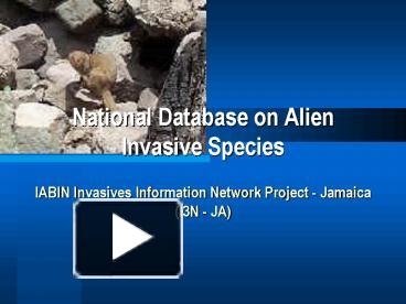 PPT – National Database on Alien Invasive Species IABIN Invasives ...