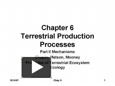 Chapter 6 Terrestrial Production Processes presentation | free to view