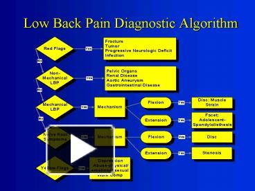 Low Back Pain Diagnostic Algorithm presentation | free to view