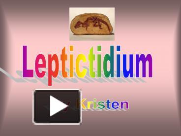 Leptictidium presentation | free to view