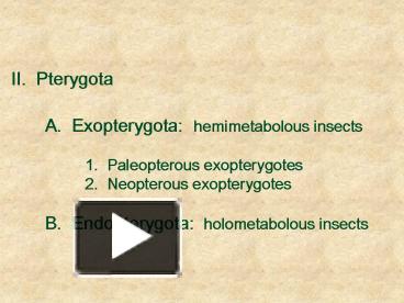 II' Pterygota A' Exopterygota: hemimetabolous insects 1' Paleopterous ...