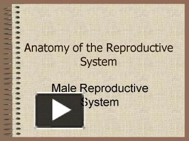 Anatomy of the Reproductive System presentation | free to view