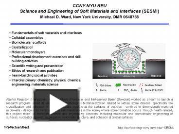 PPT – Intellectual Merit PowerPoint presentation | free to download ...
