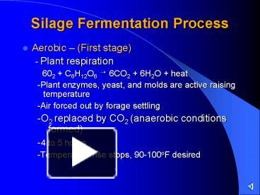 Silage Fermentation Process presentation | free to view