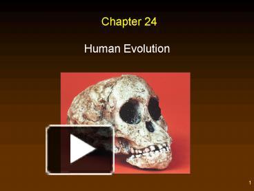 PPT – Human Evolution PowerPoint presentation | free to view - id ...