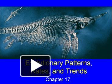 PPT – Evolutionary Patterns, Rates, and Trends PowerPoint presentation ...