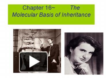 PPT – Chapter 16 The Molecular Basis of Inheritance PowerPoint ...