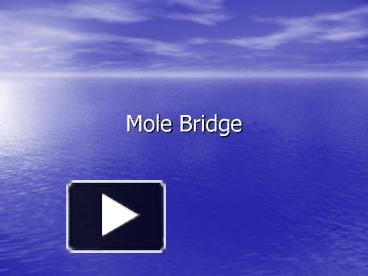 PPT – Mole Bridge PowerPoint presentation | free to view - id: 15db92-OGJiN