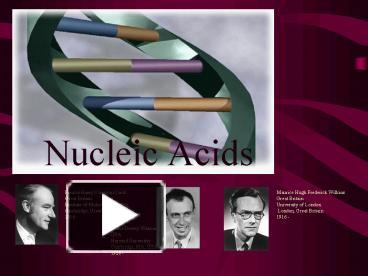PPT – Nucleic Acids PowerPoint presentation | free to view - id: 15de3f ...