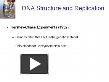 PPT – DNA Structure and Replication PowerPoint presentation | free to ...