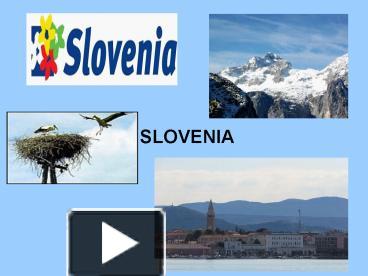 PPT – Diapozitiv 1 PowerPoint presentation | free to view - id: 1639fd ...