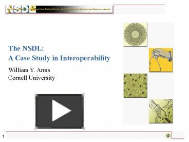 PPT – The NSDL: PowerPoint presentation | free to download - id: 163acd ...