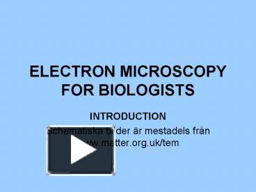 PPT – ELECTRON MICROSCOPY FOR BIOLOGISTS PowerPoint presentation | free ...