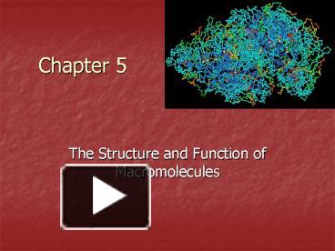 The Structure and Function of Macromolecules presentation | free to view