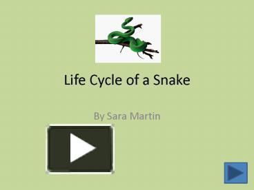 Life Cycle of a Snake presentation | free to view