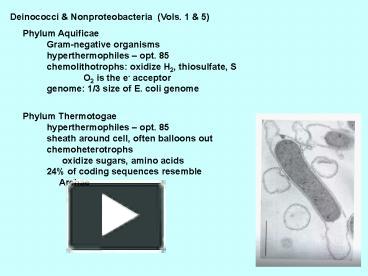 Deinococci presentation | free to view