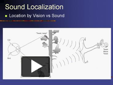 PPT – Sound Localization PowerPoint presentation | free to view - id ...