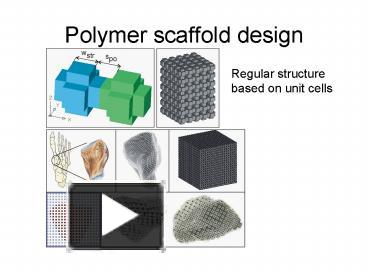 Polymer scaffold design presentation | free to view
