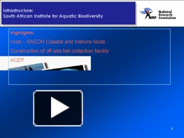 NRF Template presentation | free to download