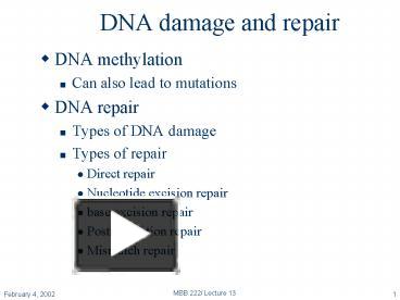 PPT – DNA damage and repair PowerPoint presentation | free to view - id ...