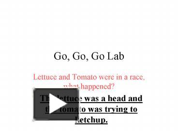 Go, Go, Go Lab presentation | free to view